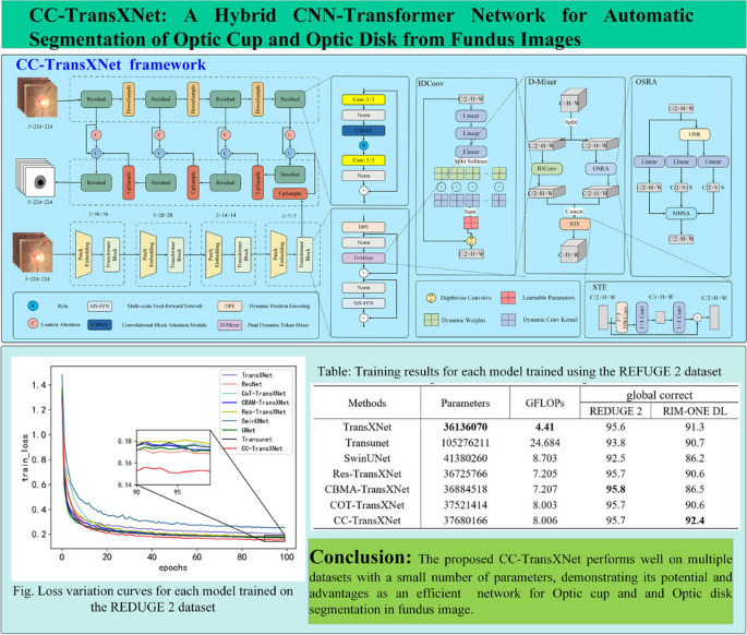 CC-TransXNet: a hybrid CNN-transformer network for automatic ...