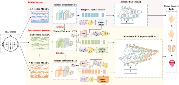 An adaptive session-incremental broad learning system for continuous ...