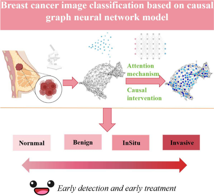 Breast cancer image classification based on H&E staining using a causal ...