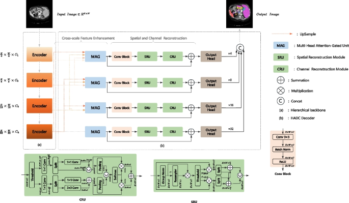 HADCN: a hierarchical ascending densely connected network for enhanced medical image ...