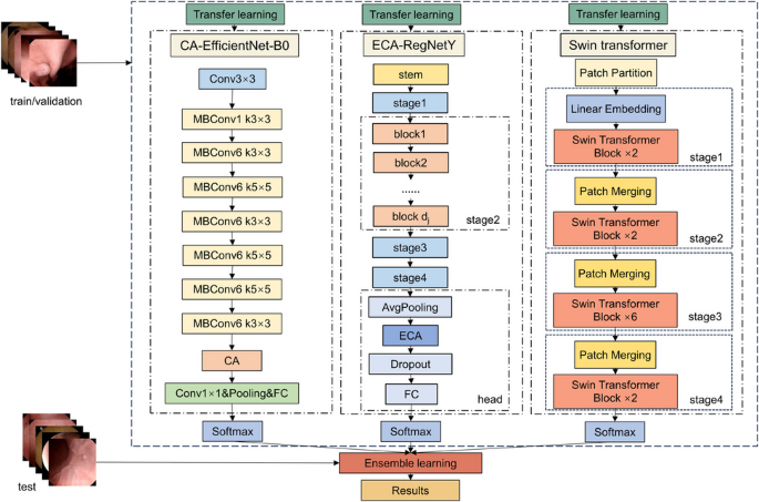 Deep ensemble framework with Bayesian optimization for multi-lesion recognition in capsule ...