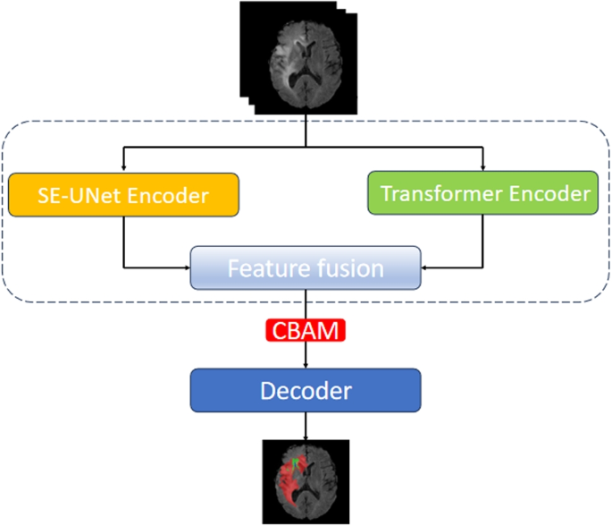 A dual-branch encoder network based on squeeze-and-excitation UNet and ...