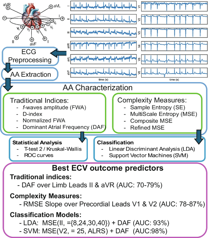 Sinus rhythm maintenance in persistent atrial fibrillation: 12-lead ECG multiscale entropy ...