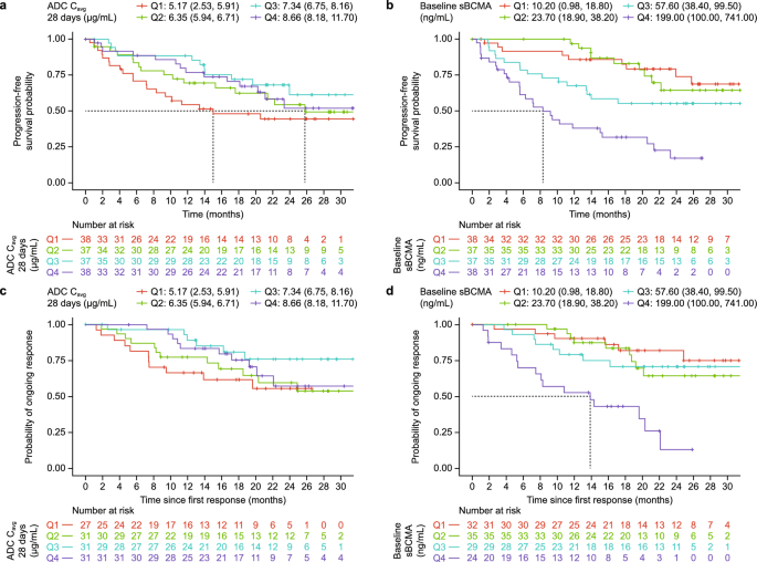 Belantamab Mafodotin with Pomalidomide and Dexamethasone in Relapsed ...