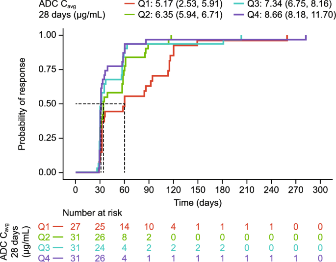 Belantamab Mafodotin with Pomalidomide and Dexamethasone in Relapsed ...
