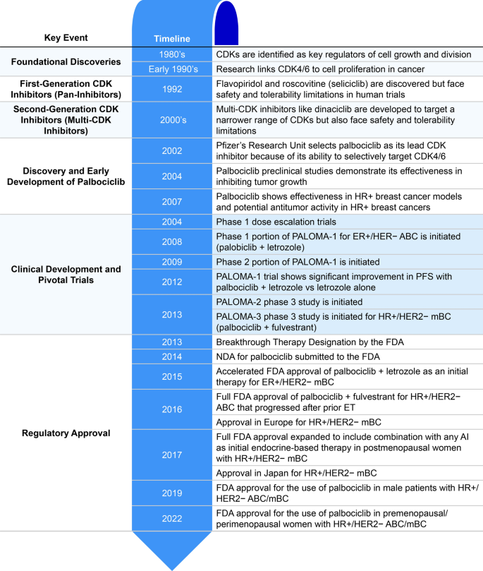 A Decade After Approval of the First CDK4/6 Inhibitor: A Look Back at ...