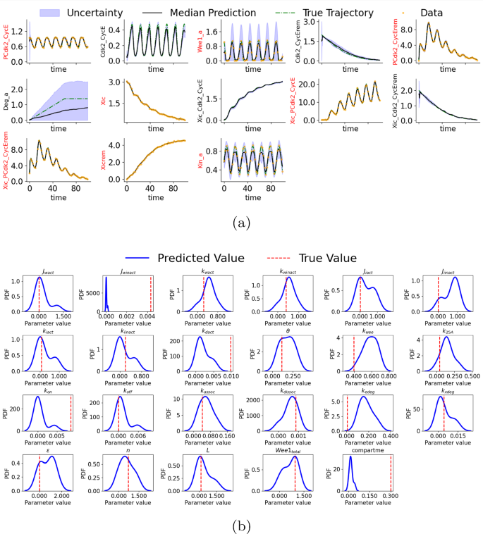 A Framework for Parameter Estimation and Uncertainty Quantification in Systems Biology Using ...