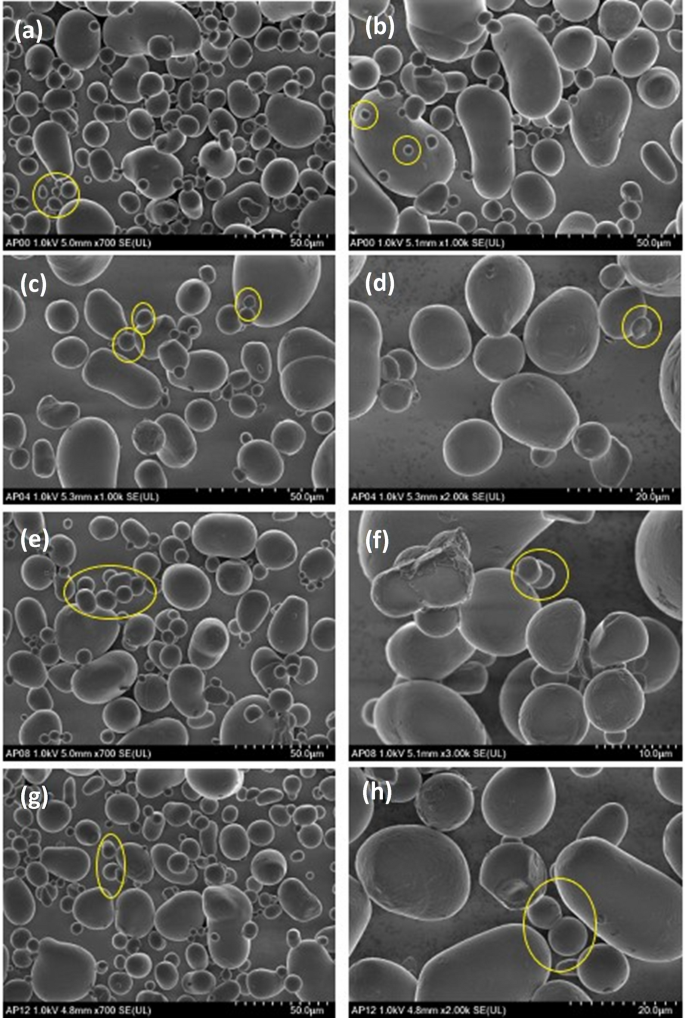 Influence of Germination Time on the Morphological, Structural, Vibrational, Thermal and Pasting ...
