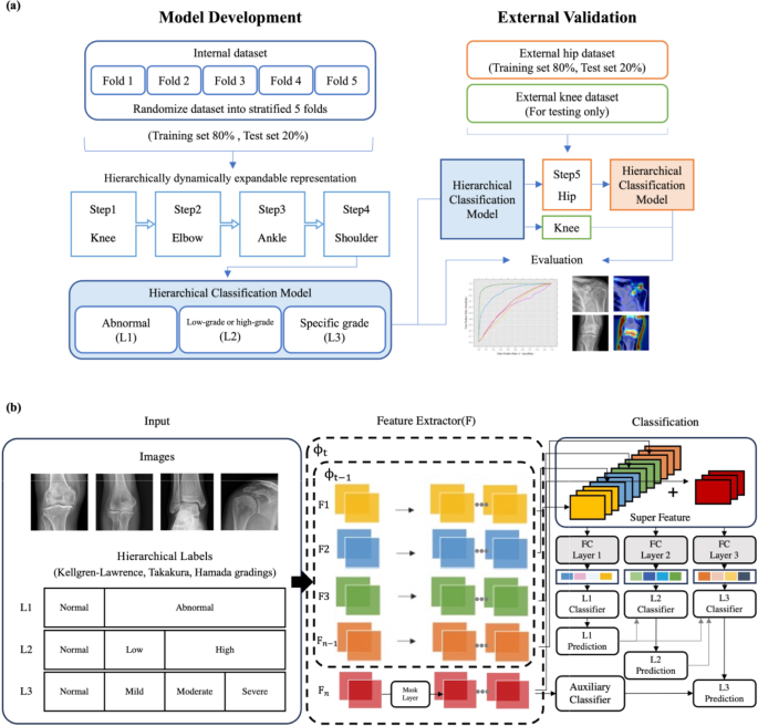Classification models for arthropathy grades of multiple joints based on hierarchical continual ...