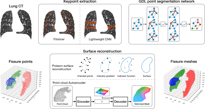 Sparse keypoint segmentation of lung fissures: efficient geometric deep ...