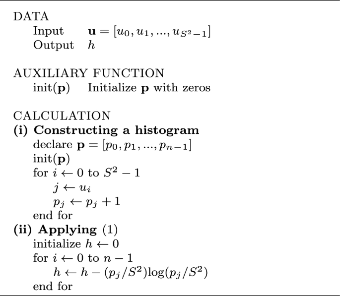 A novel pipelined architecture of entropy filter | Journal of Real-Time ...