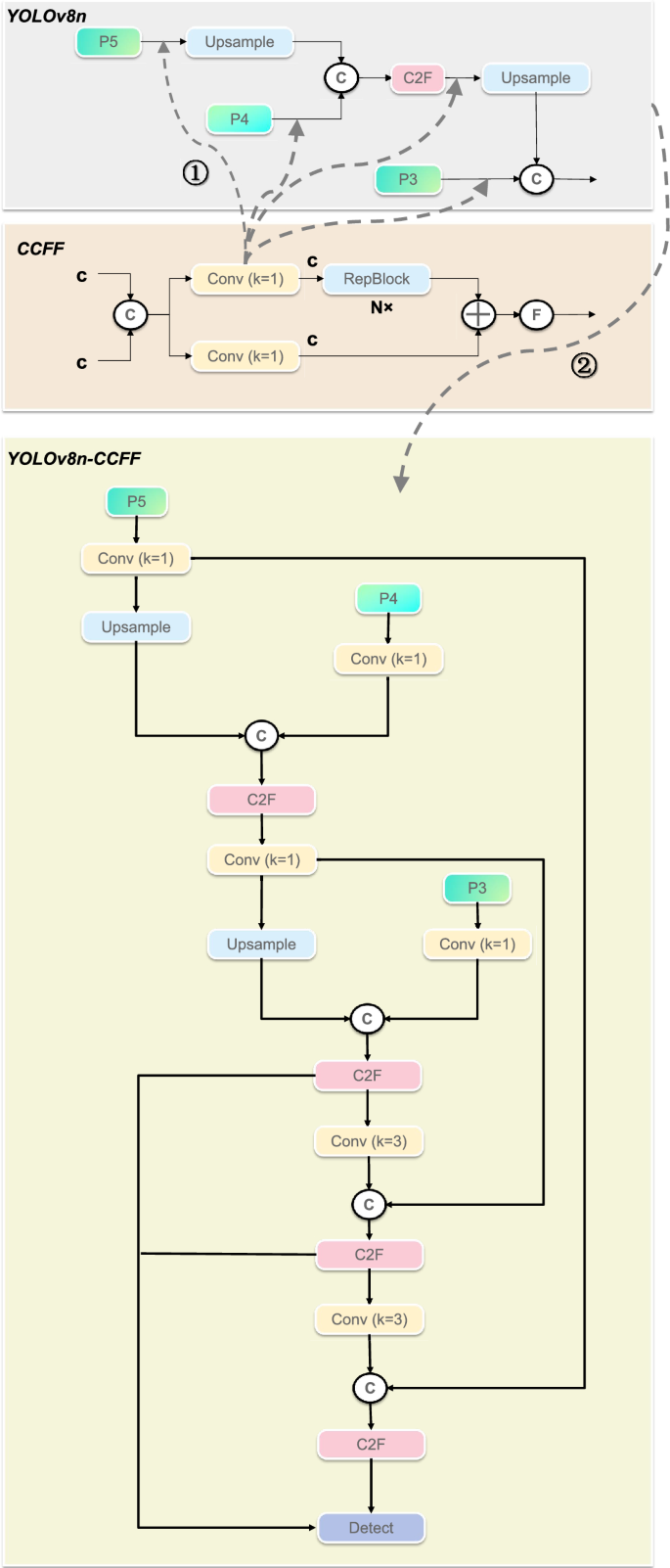LUOD-YOLO: a lightweight underwater object detection model based on dynamic feature fusion, dual ...