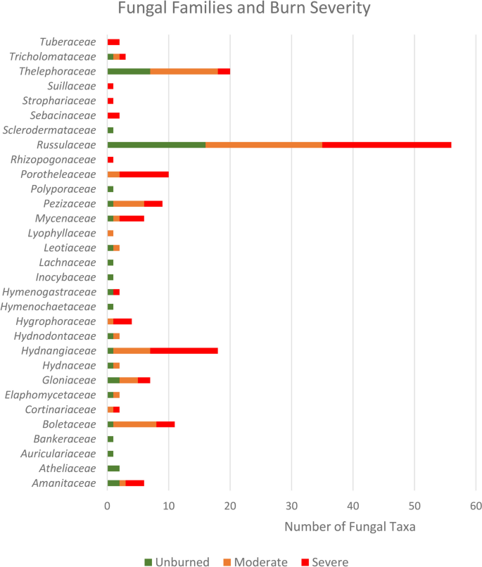 Post-fire Quercus mycorrhizal associations are dominated by Russulaceae ...