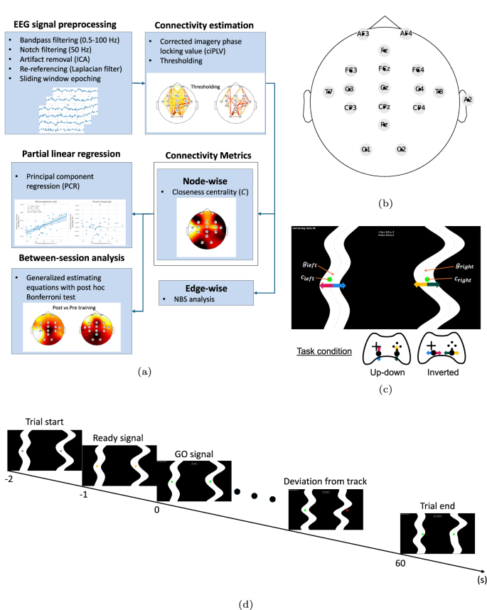 Electroencephalography evidence of functional connectivity modulation ...