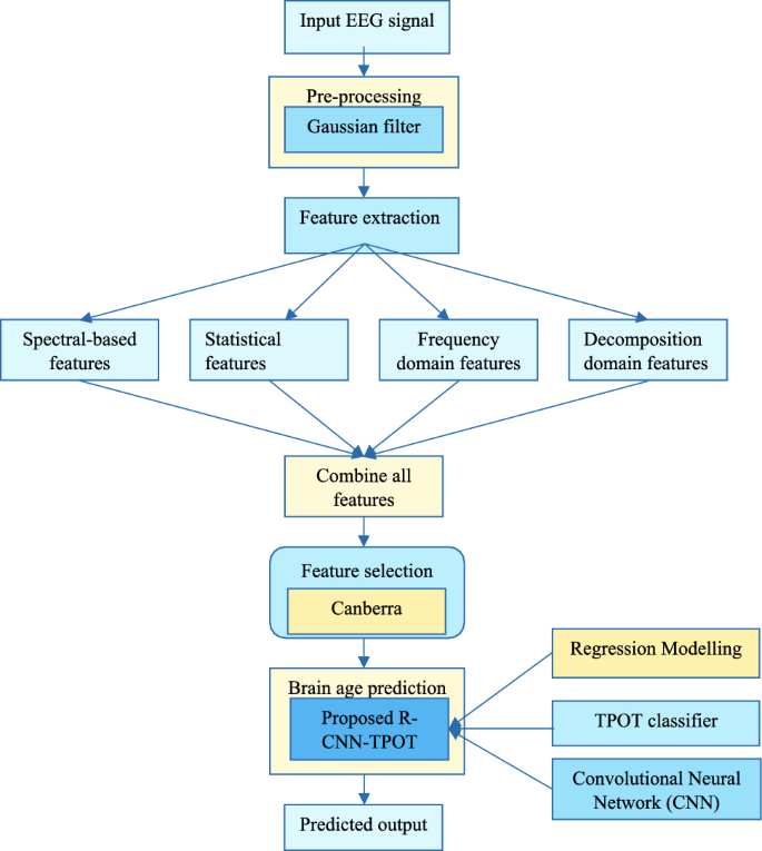 R-CNN-TPOT: a new hybrid machine learning network for brain age prediction using EEG signal ...
