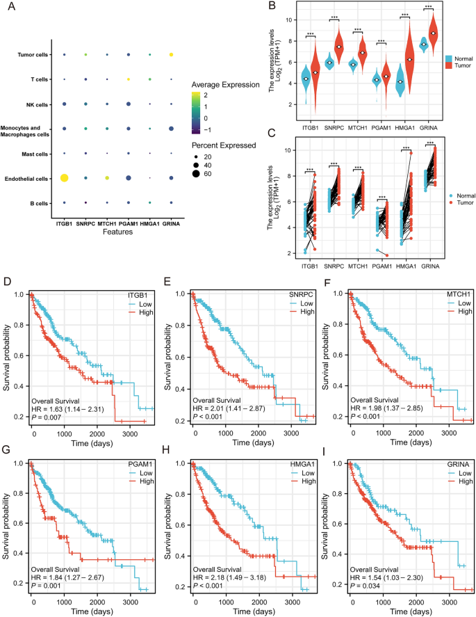 Cellular Membrane Protein GRINA is Highly Expressed and Associated with ...