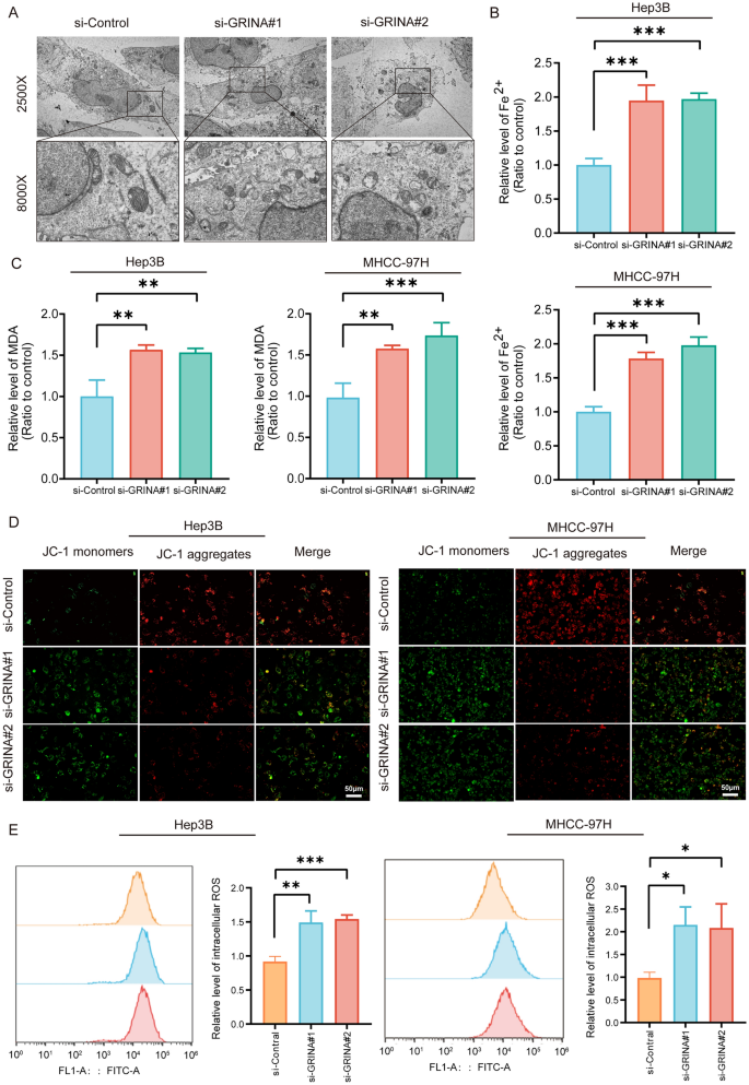 Cellular Membrane Protein GRINA is Highly Expressed and Associated with ...