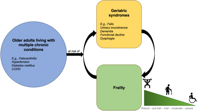 Novel Electronic Health Record Strategies to Identify Frailty Among ...