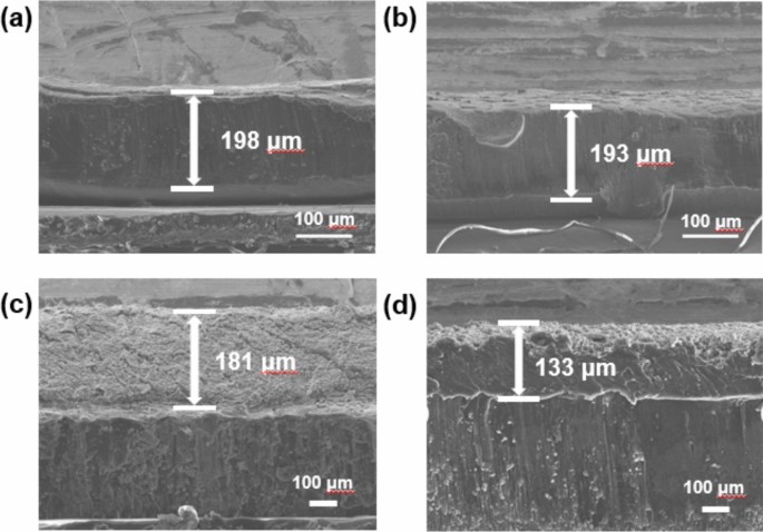 Dual-Layer Multifunctional Protective Layer for Stable Lithium Anodes ...