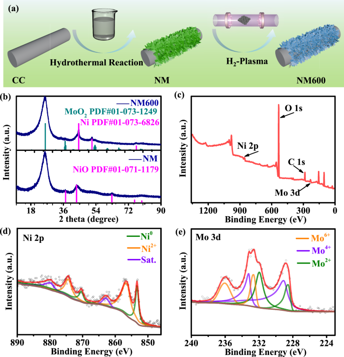Self-supported MoO2/Ni Heterostructures as Highly Efficient ...