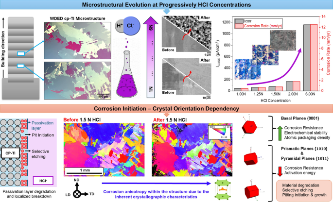 Exploring Corrosion Pathways in Wire-Arc Direct Energy Deposited Grade ...