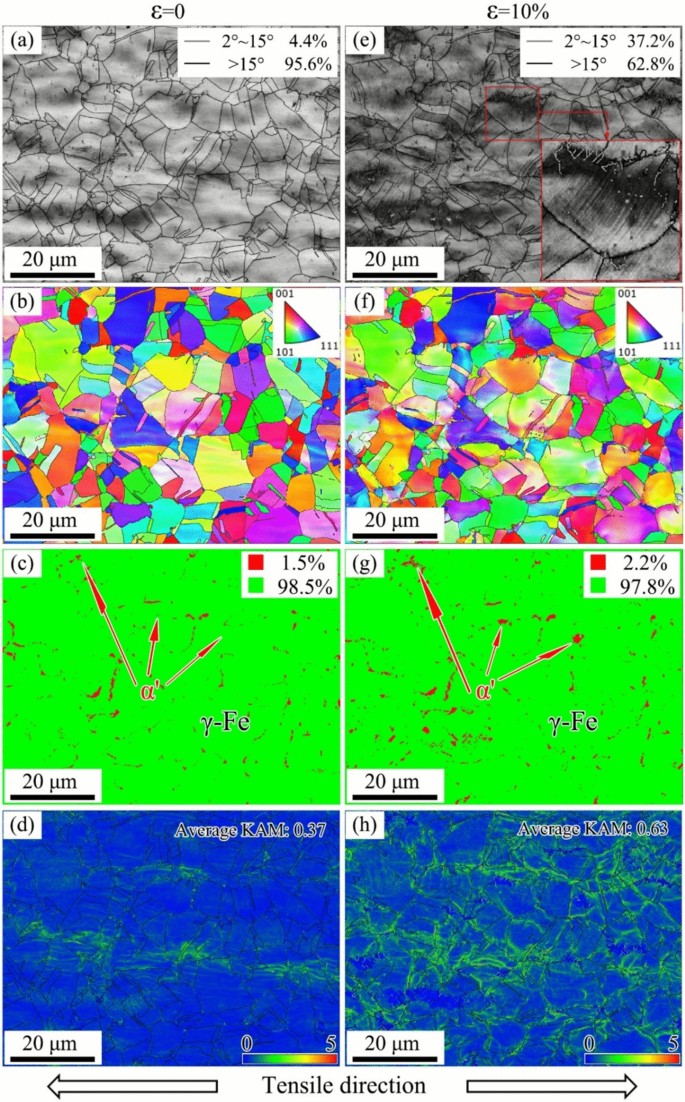 Strain Rate-Dependent Tensile Properties of Duplex Low-Density Steel ...