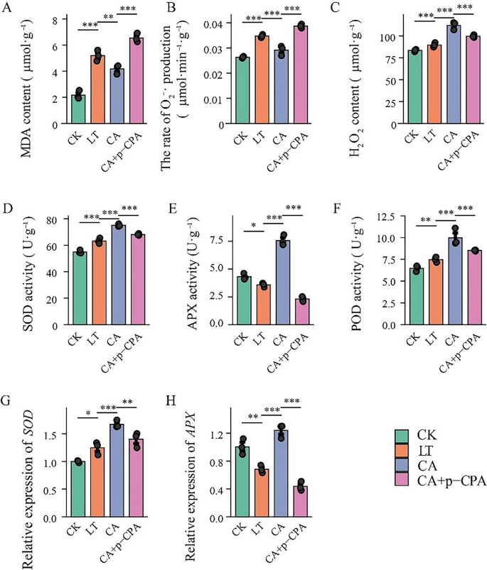 Endogenous serotonin induced by cold acclimation increases cold ...