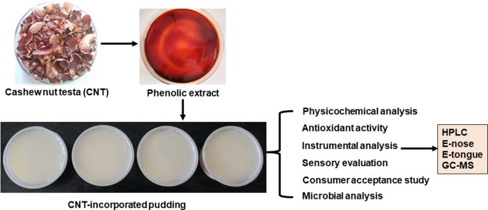 Characterization and storage stability of milk pudding incorporated ...