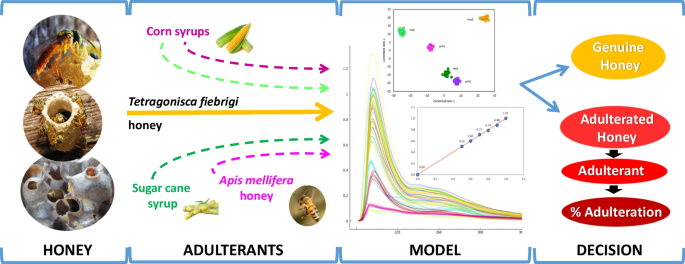 Detection of adulterations in native stingless bees honey from Argentina using UV–Vis ...