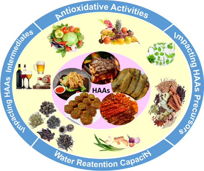 A review of heterocyclic aromatic amines in cooked meat: generation ...
