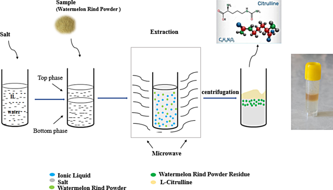 Microwave-assisted aqueous two-phase extraction of l-Citrulline from ...