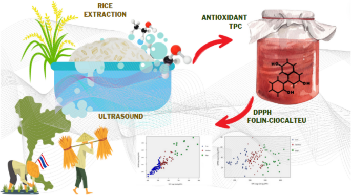 Enhancing ultrasound-assisted extraction for evaluating antioxidant ...