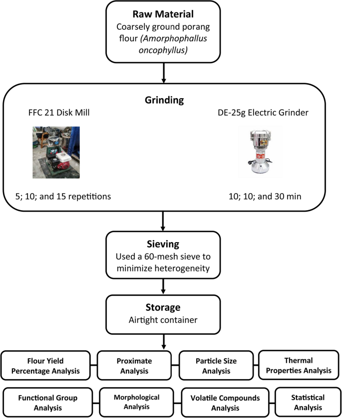 Enhancing the nutritional content of porang flour (Amorphophallus ...