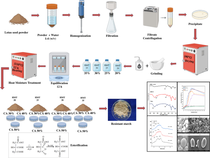 Effect of physical modifications on physicochemical, structural ...