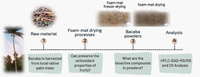 Assessment of foam drying methods on the retention and characterization ...