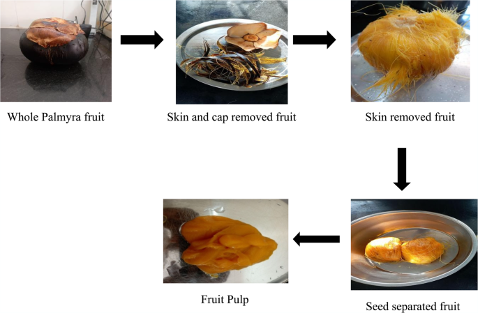 Development and characterization of Palmyra pulp jelly: evaluating the ...