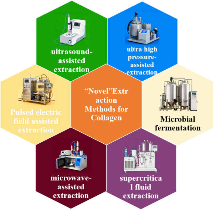 Research progress on extraction methods, bioactivity, and food industry ...