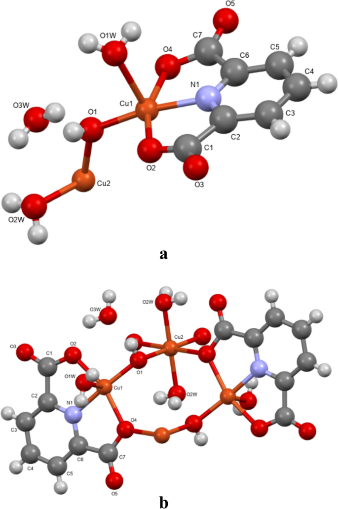 Synthesis, characterization, antimicrobial activity of 2-amino-5 ...