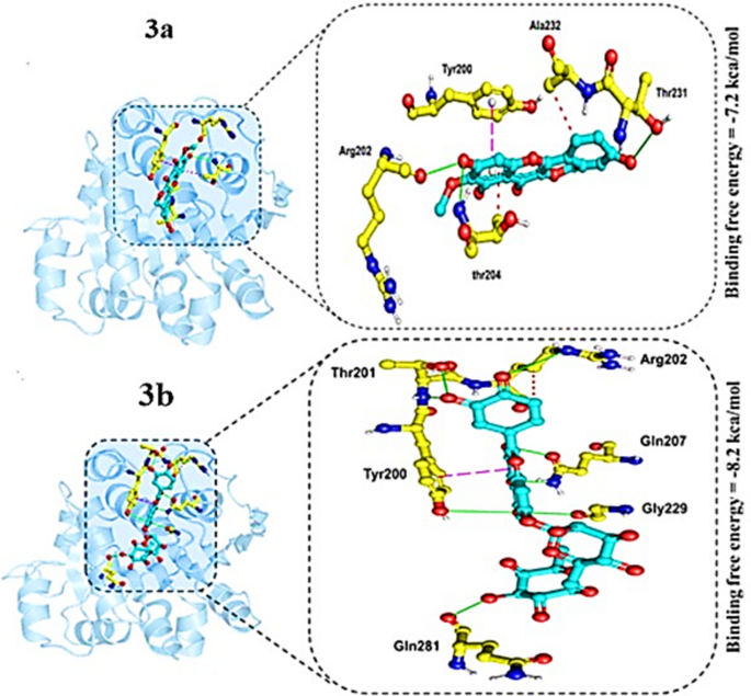 In silico evaluation of the potential anticancer effects of Viscosine ...