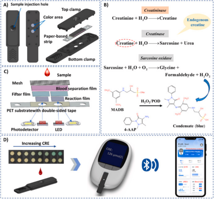 Smartphone-assisted biosensors in point-of-care diagnostics ...
