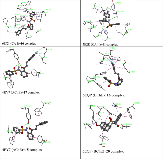 Synthesis, characterization, enzyme inhibition evaluations, and docking ...