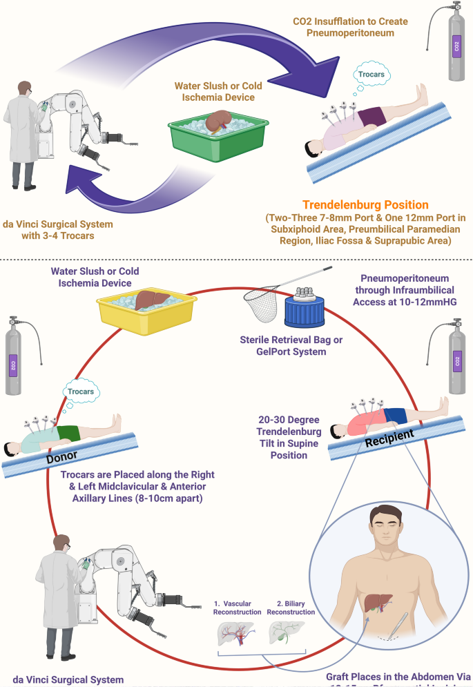 Expanding horizons: the role of robotic surgery in modern ...