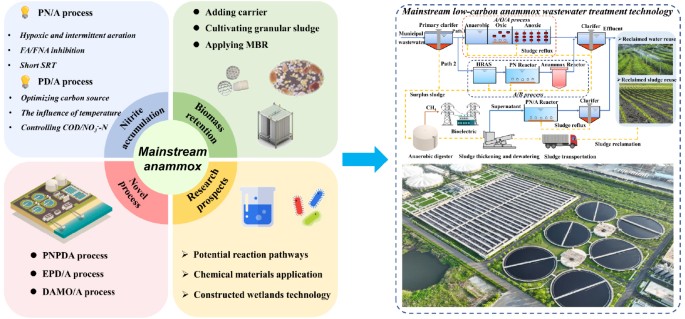 Towards the application of mainstream low-carbon anammox wastewater ...