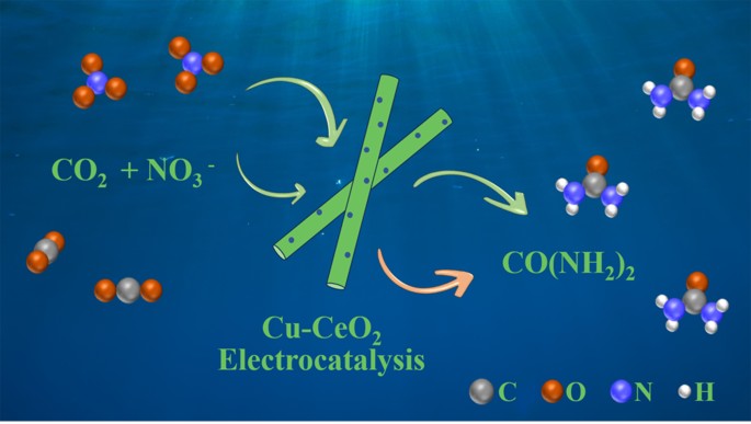 Synergistic coupling of carbon dioxide and nitrate for efficient ...