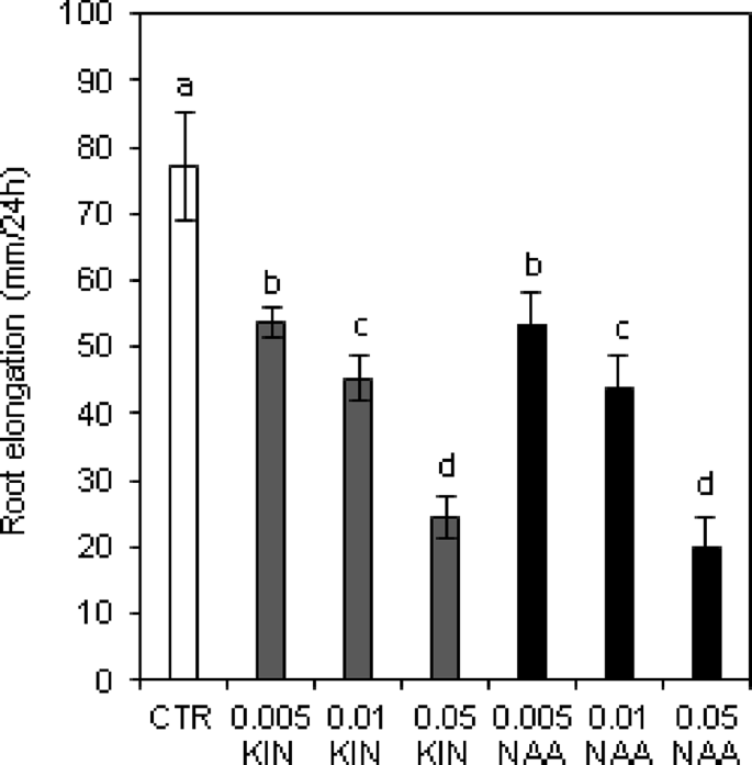 Longitudinal root growth is mainly controlled by the final cell length ...