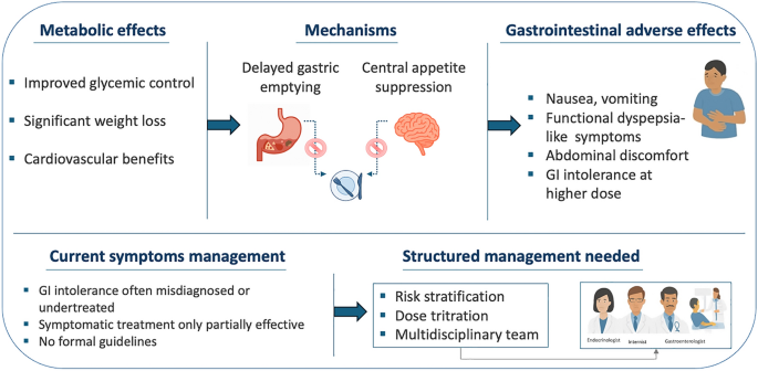 GLP-1 and GIP agonists in diabetes and obesity and the rise of ...