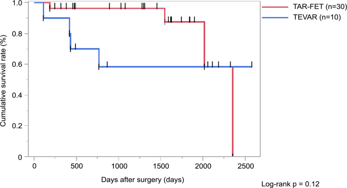 Efficacy of total arch replacement with frozen elephant trunk for type ...