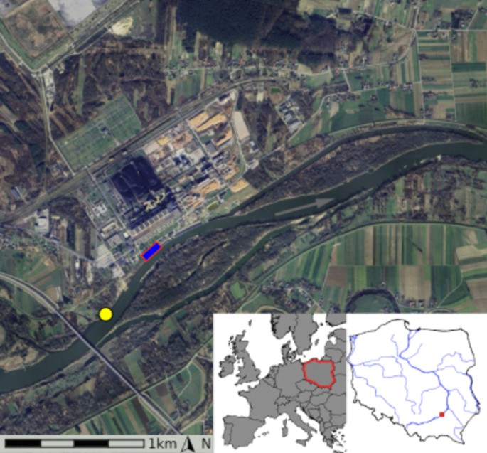 Entrainment of fish larvae into Połaniec Power Plant: another ...