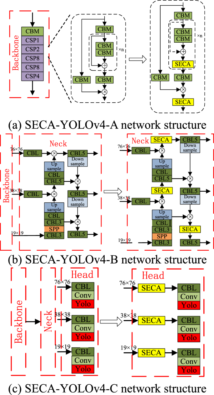 SCA-YOLOv4: you only look once with squeeze-and-excitation, coordinate attention and adaptively ...