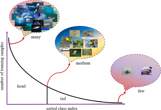 Improving long-tailed classification with PixDyMix: a localized pixel ...